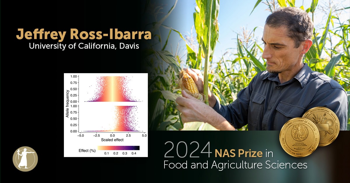 NAS Prize in Food and Agriculture Sciences – NAS