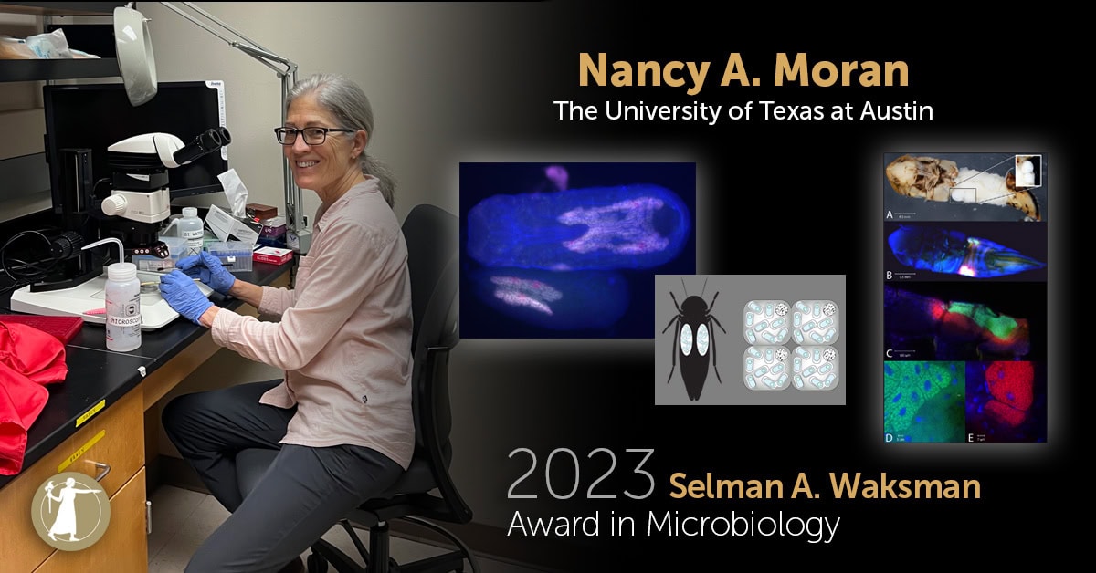 Selman A. Waksman Award in Microbiology – NAS