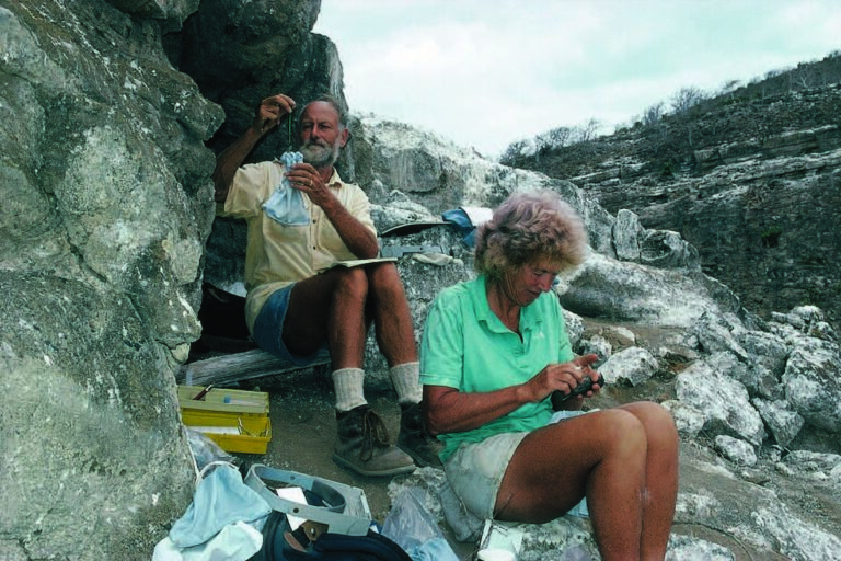 Evolution in Action: Marking the Anniversary of Darwin’s On the Origin ...